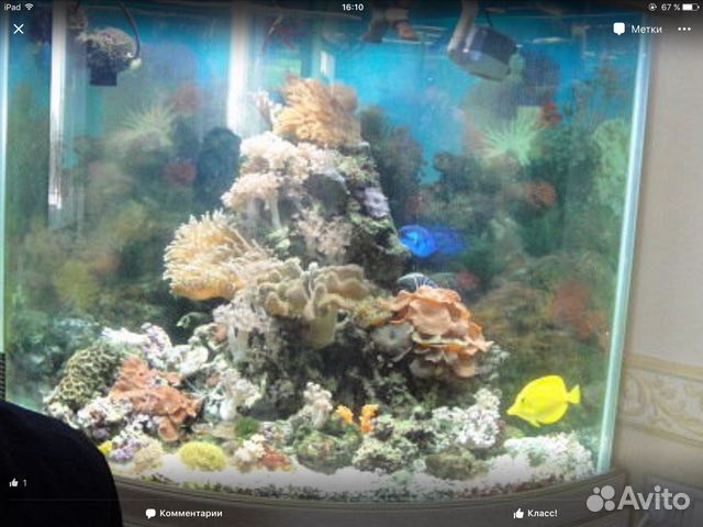 Морской аквариум