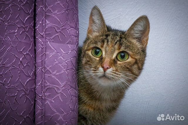 Европейская