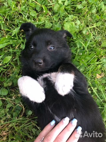 Малышка Ночка