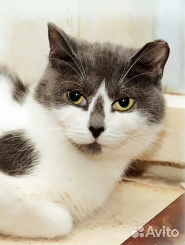 Марго Валуа