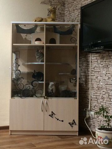 Шиншилловая мини ферма