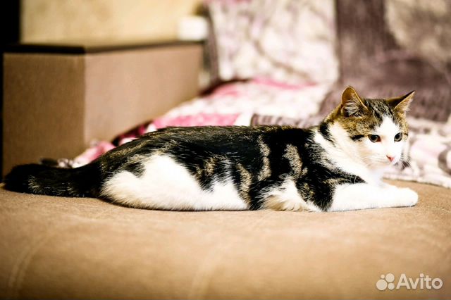 Нежный подросток Марсик