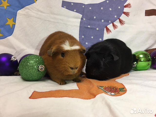 Крестедики Мальчики