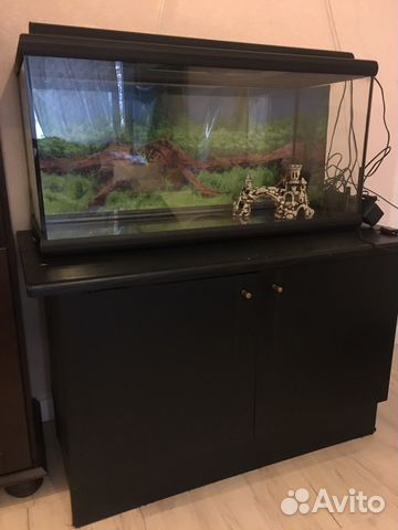 Аквариум