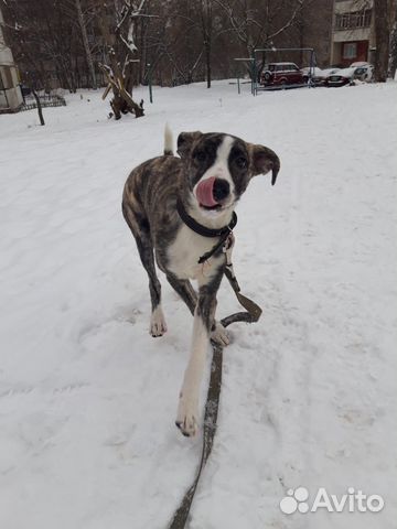 В самые ответственные руки