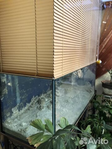 Аквариум с тумбой, под море 700л +самп 400л