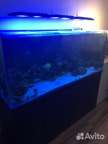 Живые камни(для морского аквариума)