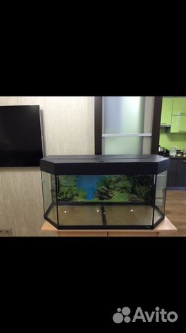 Аквариум juwel