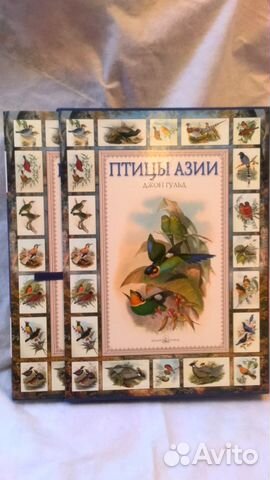 Гульд птицы