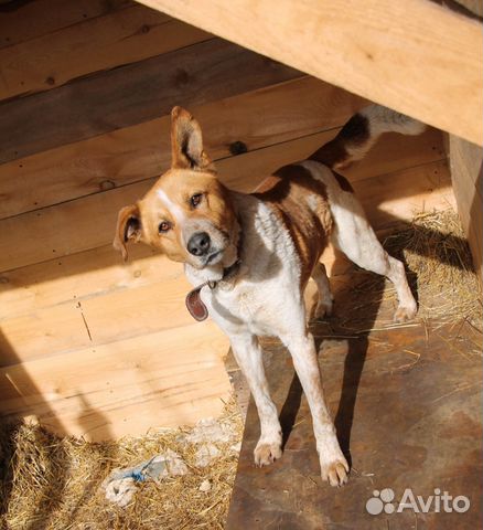 Пристраиваем Грома
