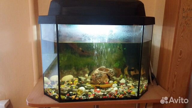 Аквариум с фильтром, компрессором и рыбками