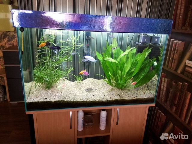 Аквариум с подставкой