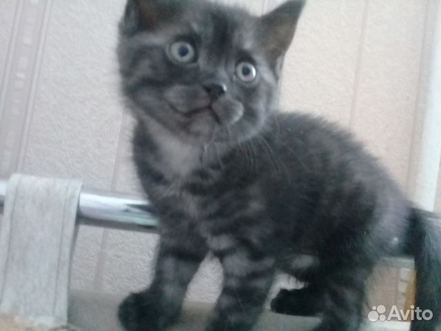 Очаровательные антидепрессанты в добрые ручки