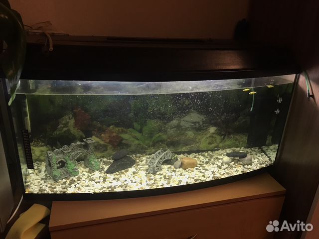 Аквариум 100 литров