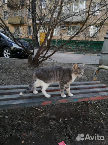 Тоша изумительно добрый