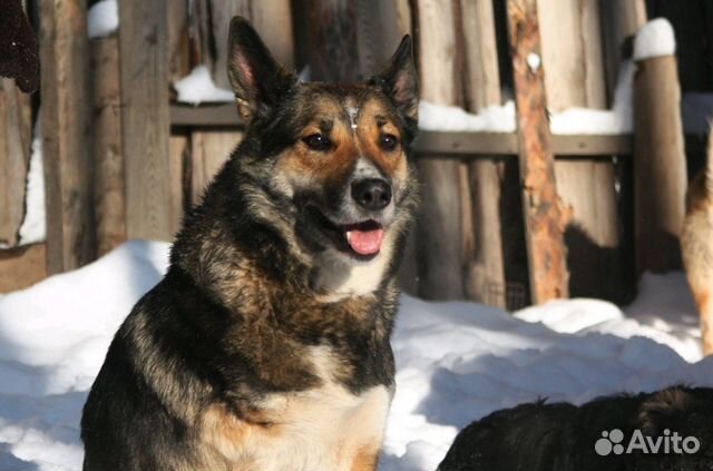 Особенная Тея