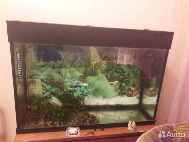 Аквариум