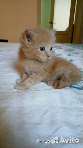 Открыт резерв