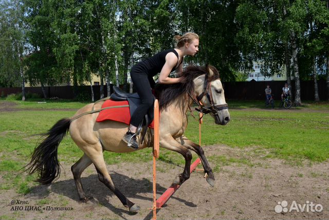 Кобыла буланая