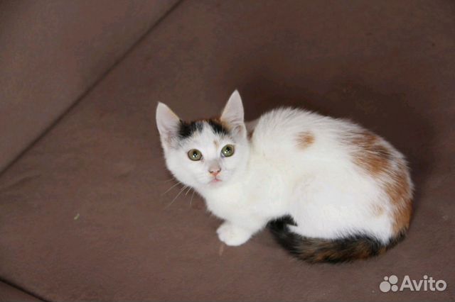 Малышка Ириска