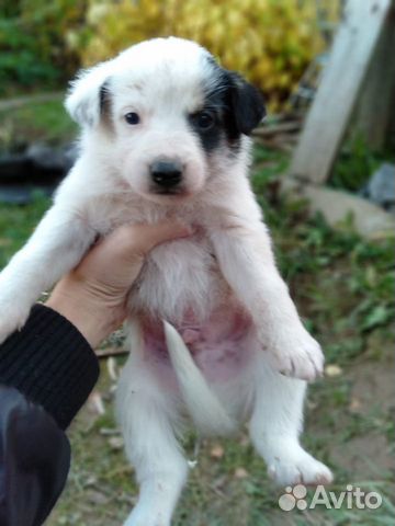 Очаровательные малыши Кай и Герда ищут свою семью