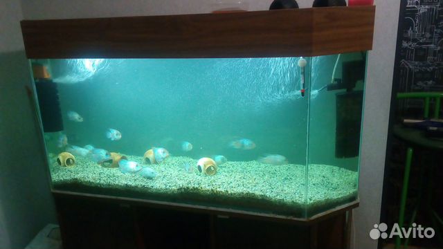 Аквариум 250 л