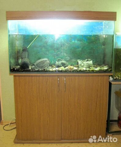 Аквариум со всеми аксессуарами и черепаха