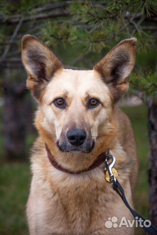 Красотка Марго