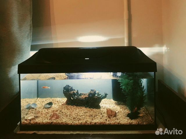 Аквариум Tetra Aquarium, 54 л