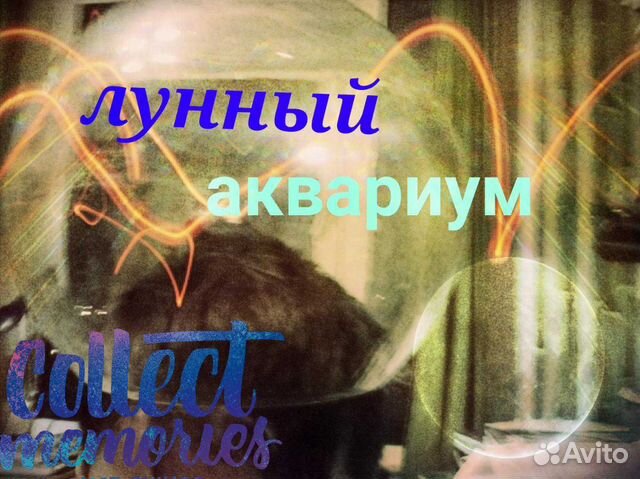 Лунный аквариум для самых классных рыбок