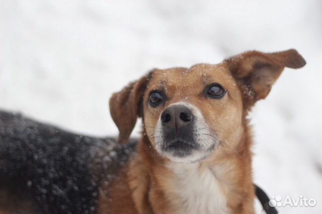 Мальчик с золотым характером