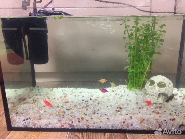 Аквариум