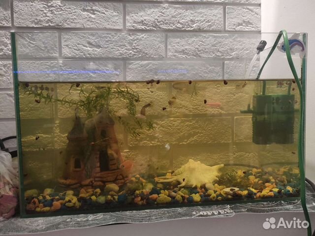 Аквариум с рыбками и декором