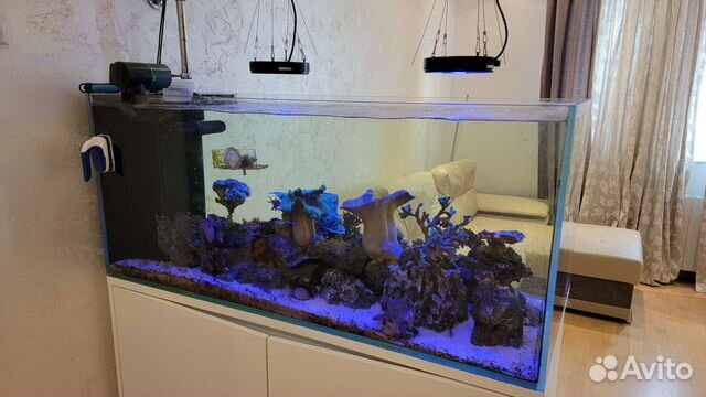 Морской аквариум. Система целиком