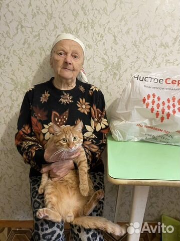 Потерялся кот