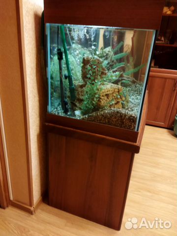 Продажа аквариума