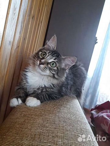 Для ценителей красоты обалденный мальчик