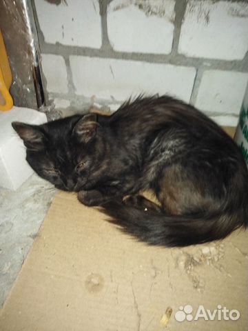 Позволь себе стать Человеком