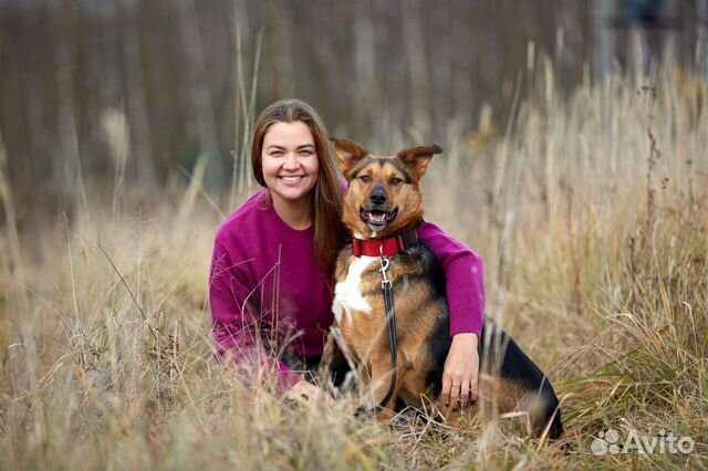Добрая Кристи из приюта ждёт своего человека
