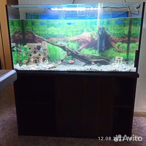 Аквариум