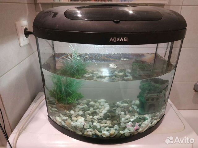 Аквариум Aquael Pearl 32 л