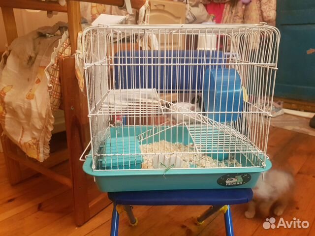Хомяк джунгарский с клеткой