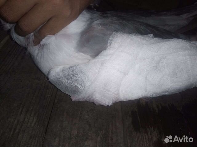 Нужен опытный человек