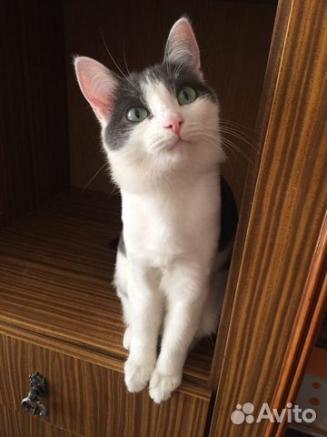 Заберите меня домой