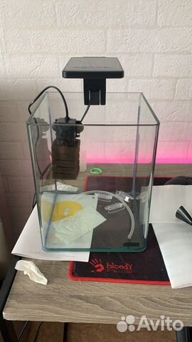 Продам запущенный аквариум