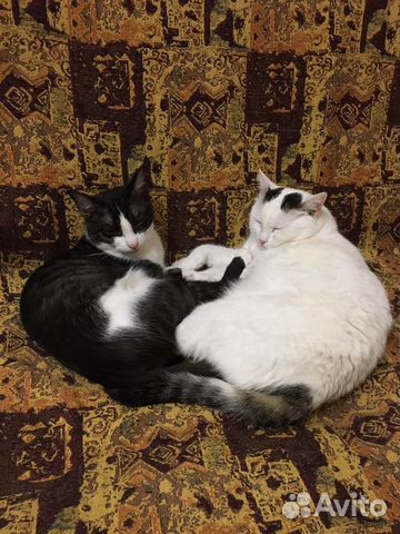 В ответственные руки