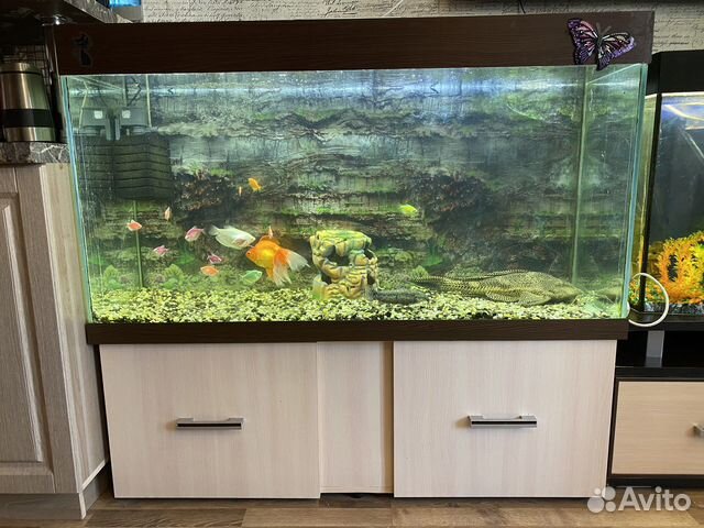 Аквариум с тумбой