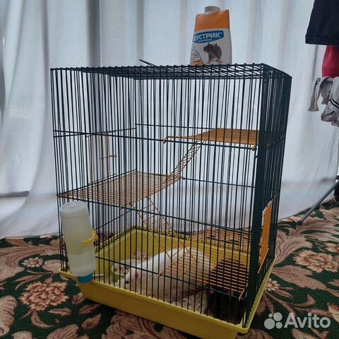 Крысы с клеткой бесплатно