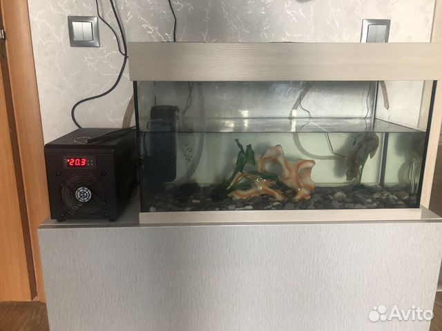 Аквариум с холодильной установкой