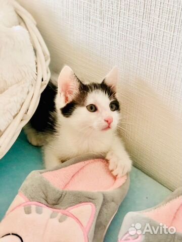 Добрый ласковый мальчишечка